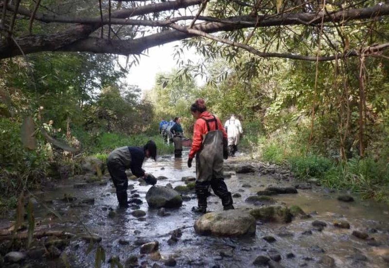 Vaste nettoyage des berges dans la région