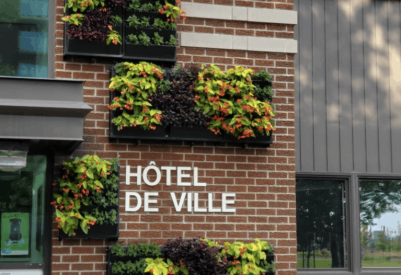 L’hôtel de ville de Candiac rouvre ses portes - FM 103,3