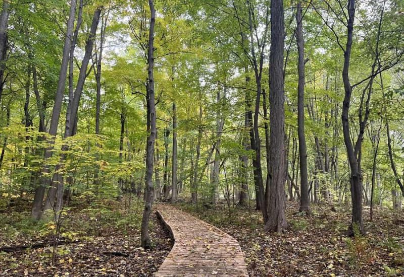 Inauguration d’un sentier dans un parc de Carignan