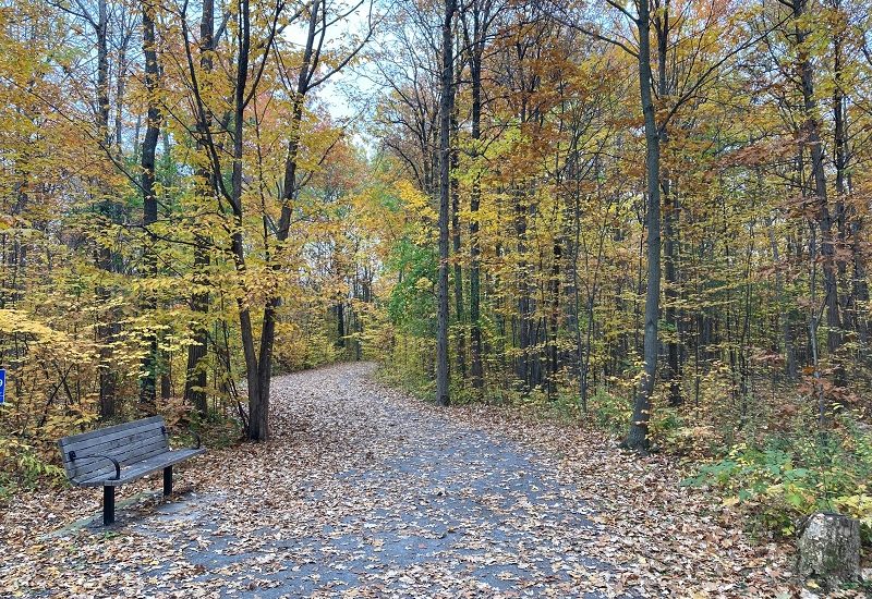 Longueuil protège encore plus le boisé Du Tremblay